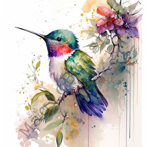 Hummingbird 14 Portraits Set, Hummingbird Clipart, Commercial, Digital ...