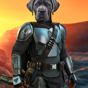 Mandalorian, Dog Portrait, Custom Dog Portrait, Dog Mom, Mother's Day ...
