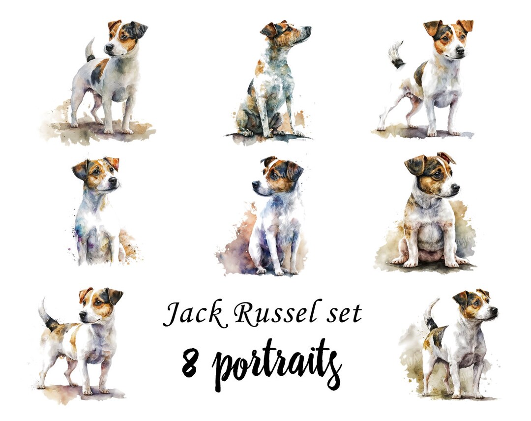 Jack Russell Portraits Set, Jack Russell Clipart, Commercial Use, Jack ...