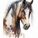 American Pinto Horse 11 Portraits Set American Pinto Horse - Etsy