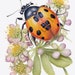 Ladybug 19 Portraits Set Lady Beetle Clipart Commercial Use - Etsy