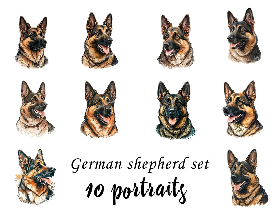 German Shepherd Portraits Set, German Shepherd Clipart, Germanshepherd ...
