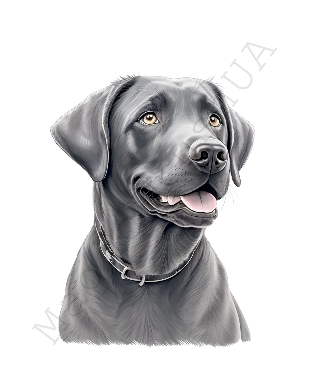 Labrador Retriever Silver 7 Portraits Bundle, Dog Portraits Set, Gray ...