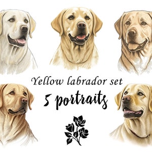 Dog Portraits Set, Yellow Labrador, Labrador Retriever Yellow Portraits ...