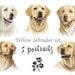 Dog Portraits Set Yellow Labrador Labrador Retriever Yellow - Etsy