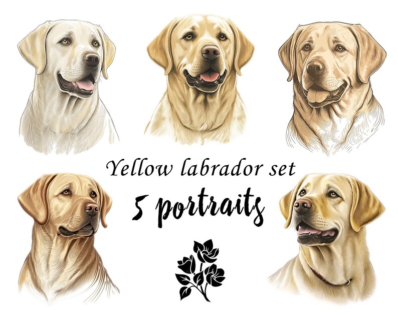Dog Portraits Set Yellow Labrador Labrador Retriever Yellow - Etsy