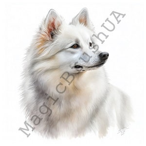 Japanese Spitz 9 Portraits Set, Japanese Spitz Clipart, Commercial Use ...