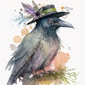 Mysterious Crow 12 Portraits Set, Mysterious Crow Clipart,commercial Digital Download, Crow ...