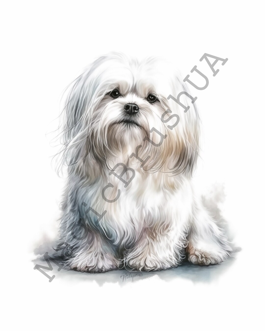 Maltese 17 Portraits Set, Maltese Clipart, Commercial Use, Digital ...