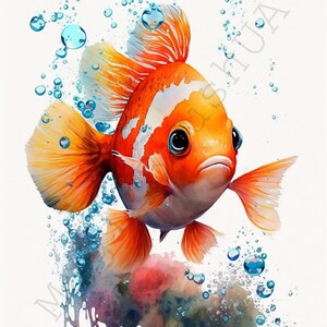 Fish Nemo 16 Portraits Set, Fish Nemo Clipart, Commercial Use, Digital ...