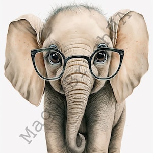 Elephant in Glasses 13 Portraits Set, Elephant in Glasses Clipart ...