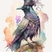 Mysterious Crow 12 Portraits Set, Mysterious Crow Clipart,commercial ...