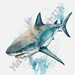 Shark 15 Portraits Set, Shark Clipart, Commercial Use, Shark Bundle ...