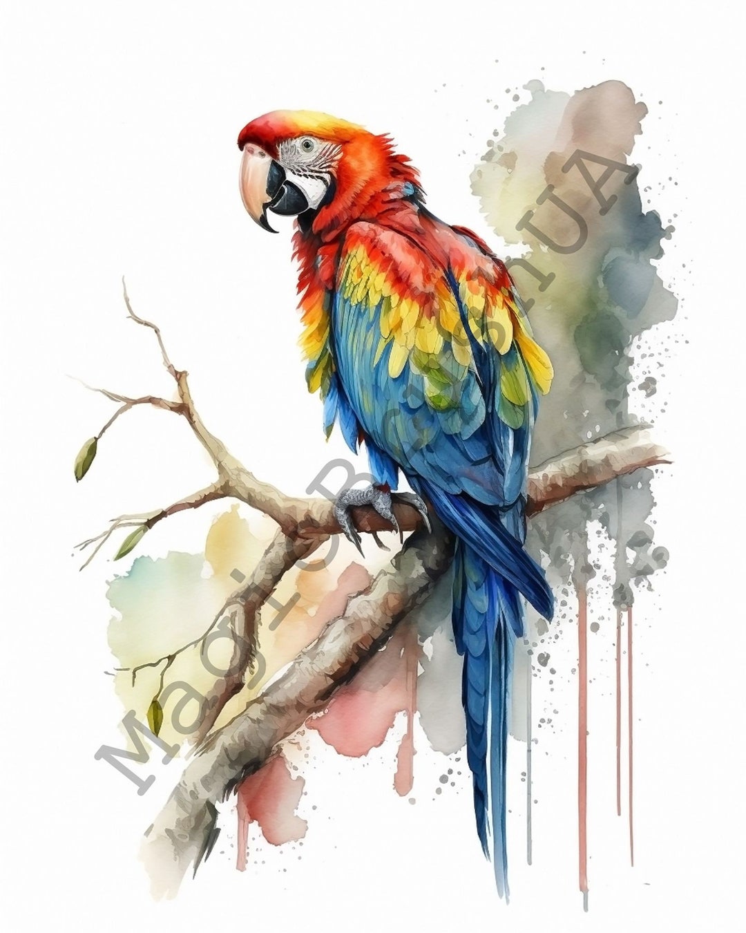 Macaw Parrot 16 Portraits Set, Macaw Parrot Clipart, Commercial Use ...