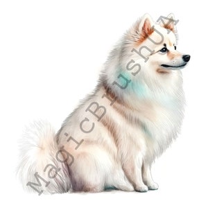 Japanese Spitz 9 Portraits Set, Japanese Spitz Clipart, Commercial Use ...