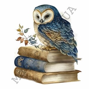 Blue Owl With Books 17 Portraits Set, Blue Owl Clipart, Commercial Use ...