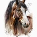 American Pinto Horse 11 Portraits Set American Pinto Horse - Etsy