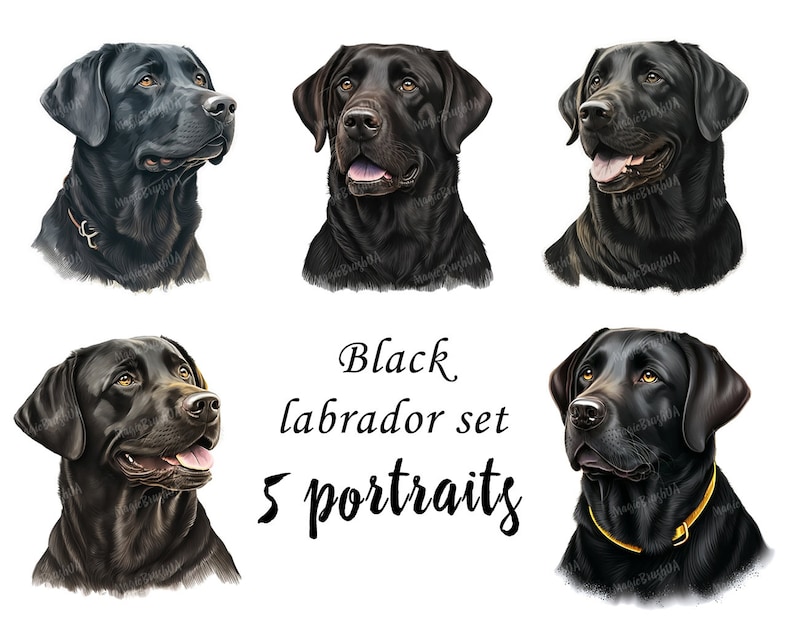 Dog Portraits Set Black Labrador Portraits Bundle Labrador - Etsy