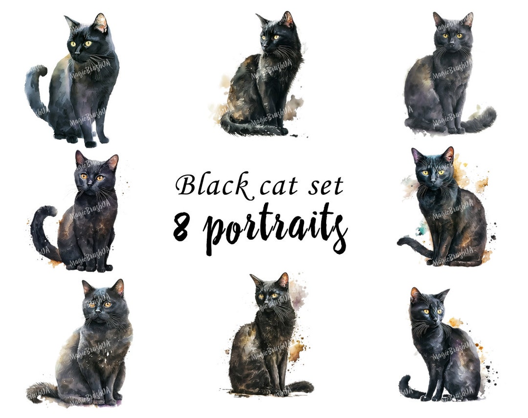 Black Cat Portraits Set, Black Cat Clipart, Commercial Use, Digital ...