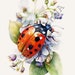 Ladybug 19 Portraits Set Lady Beetle Clipart Commercial Use - Etsy