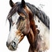 American Pinto Horse 11 Portraits Set American Pinto Horse - Etsy