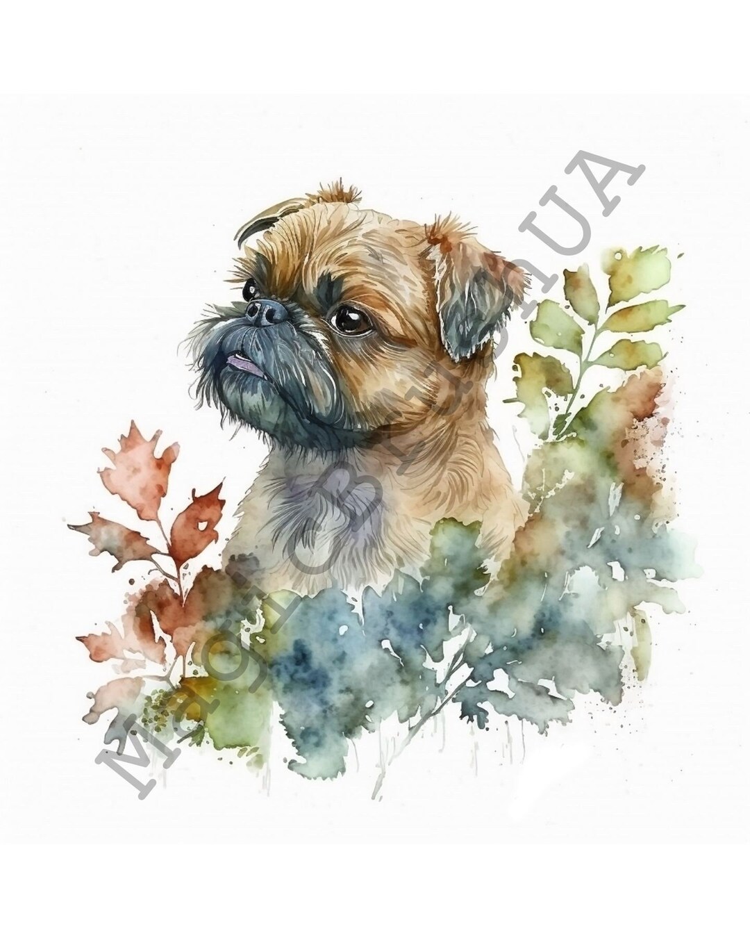 Griffon Bruxellois 13 Portraits Set, Griffon Bruxellois Clipart ...