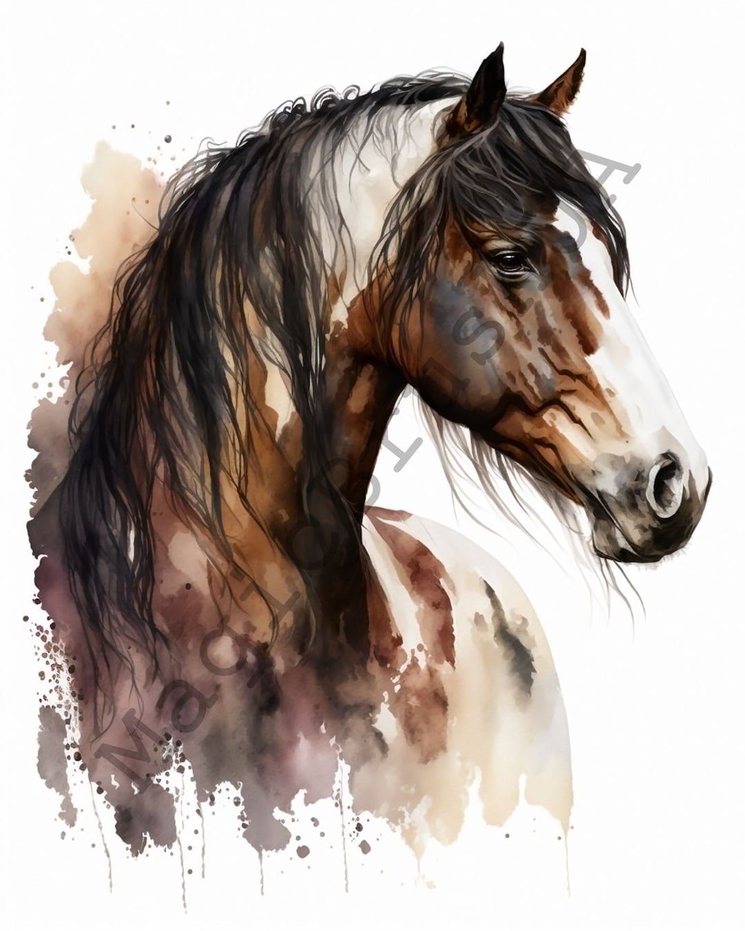 American Pinto Horse 11 Portraits Set, American Pinto Horse Clipart ...