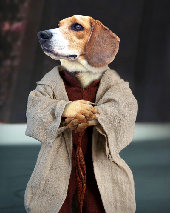 Yoda Dog