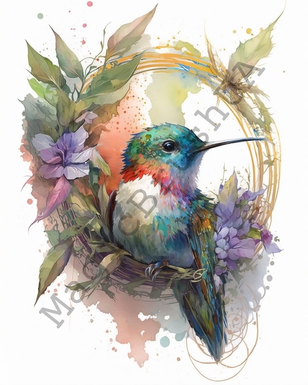 Hummingbird 14 Portraits Set, Hummingbird Clipart, Commercial, Digital ...