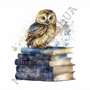 Blue Owl With Books 17 Portraits Set, Blue Owl Clipart, Commercial Use ...