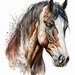 American Pinto Horse 11 Portraits Set American Pinto Horse - Etsy