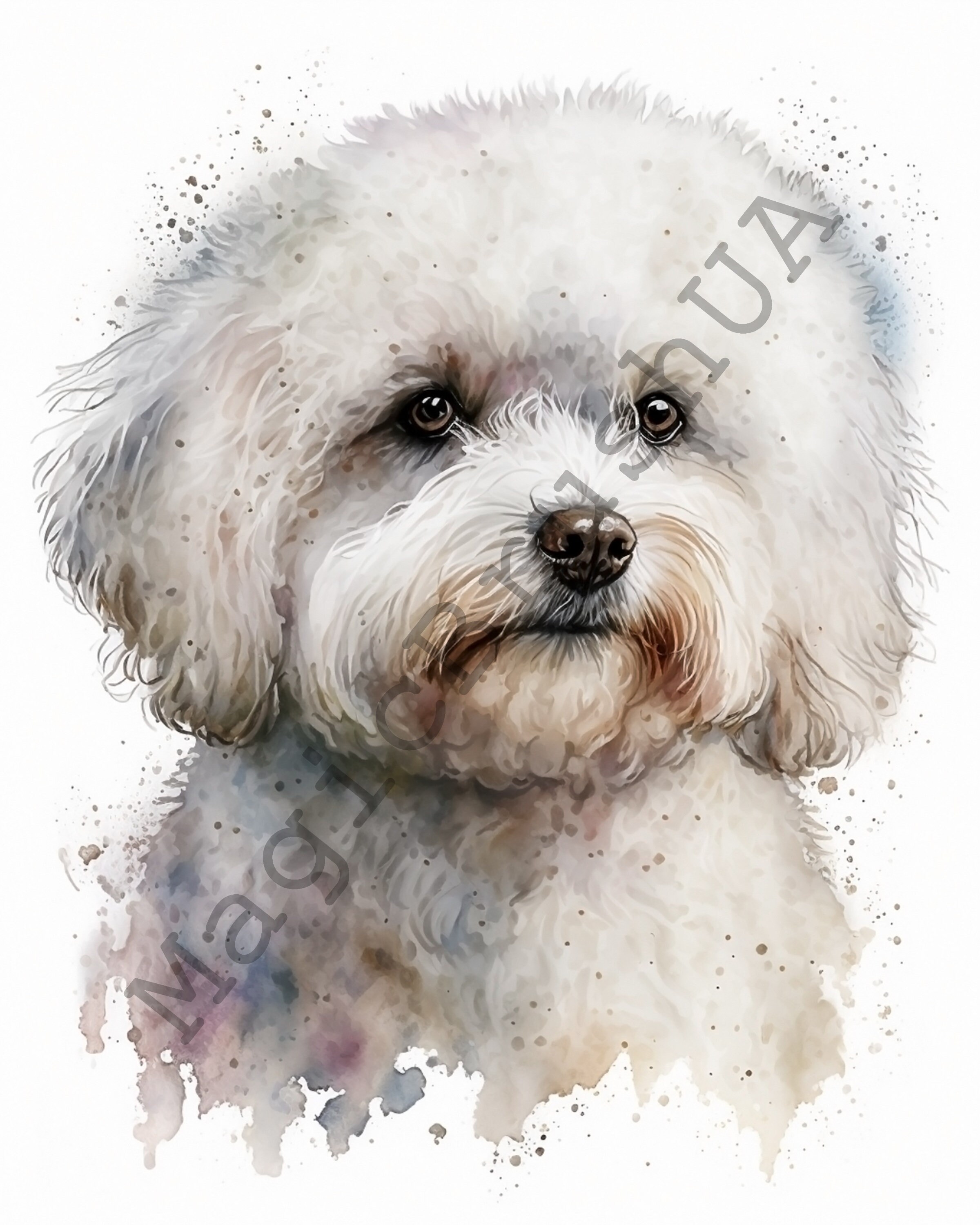 Bichon Frise 8 Head and Neck Portraits Set Bichon Frise - Etsy UK