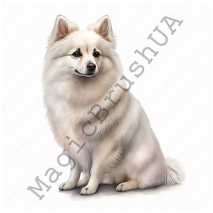 Japanese Spitz 9 Portraits Set, Japanese Spitz Clipart, Commercial Use ...