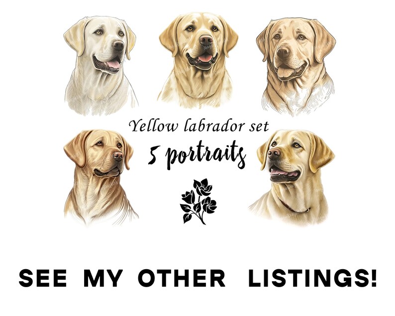 Ram 11 Portraits Set Ram Clipart Commercial Use Digital - Etsy