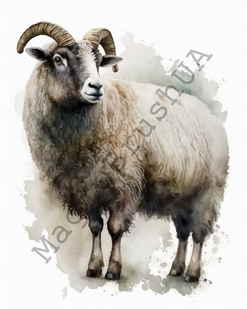 Ram 11 Portraits Set Ram Clipart Commercial Use Digital - Etsy