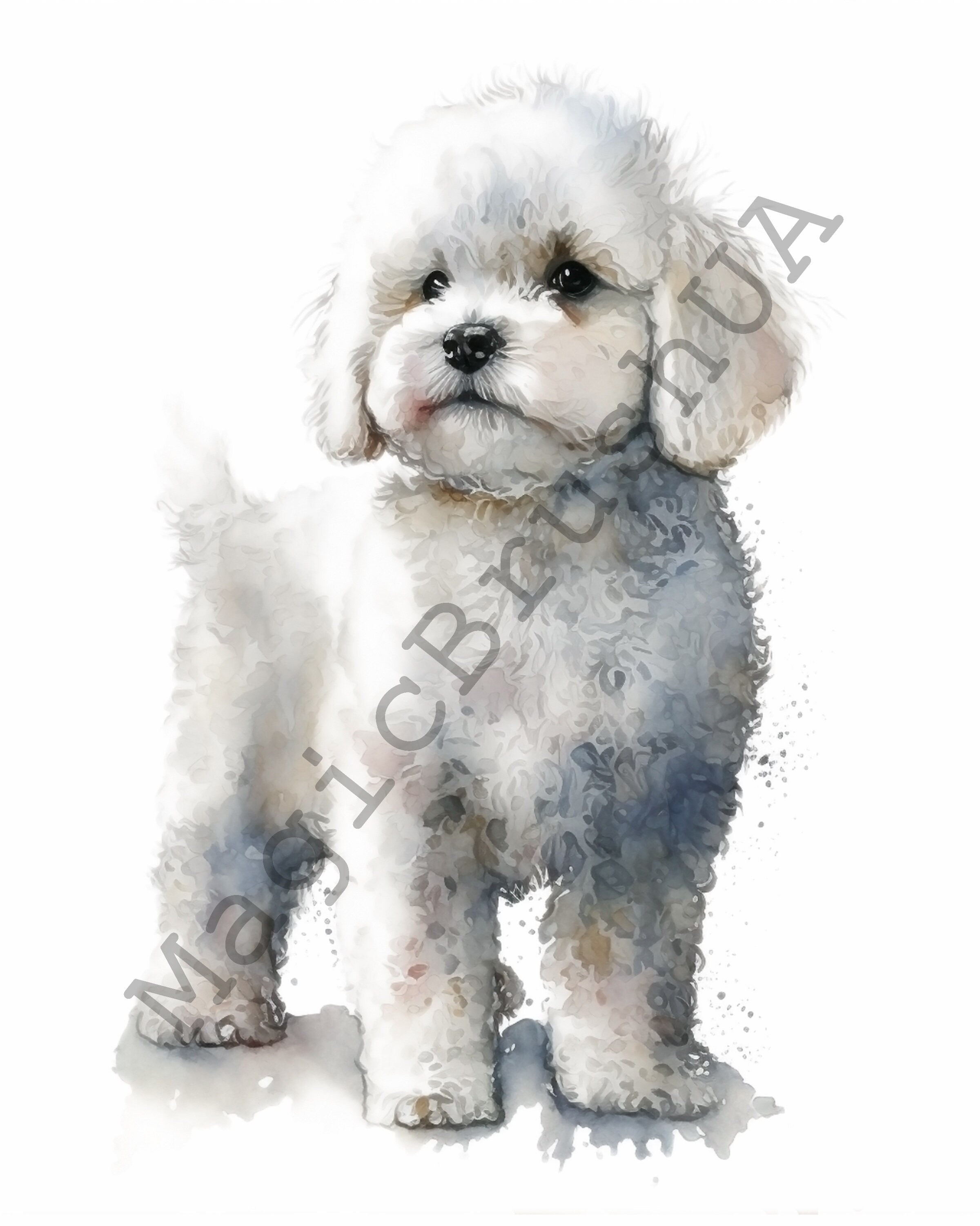 Bichon Frise 12 Portraits Set Bichon Frise Clipart - Etsy