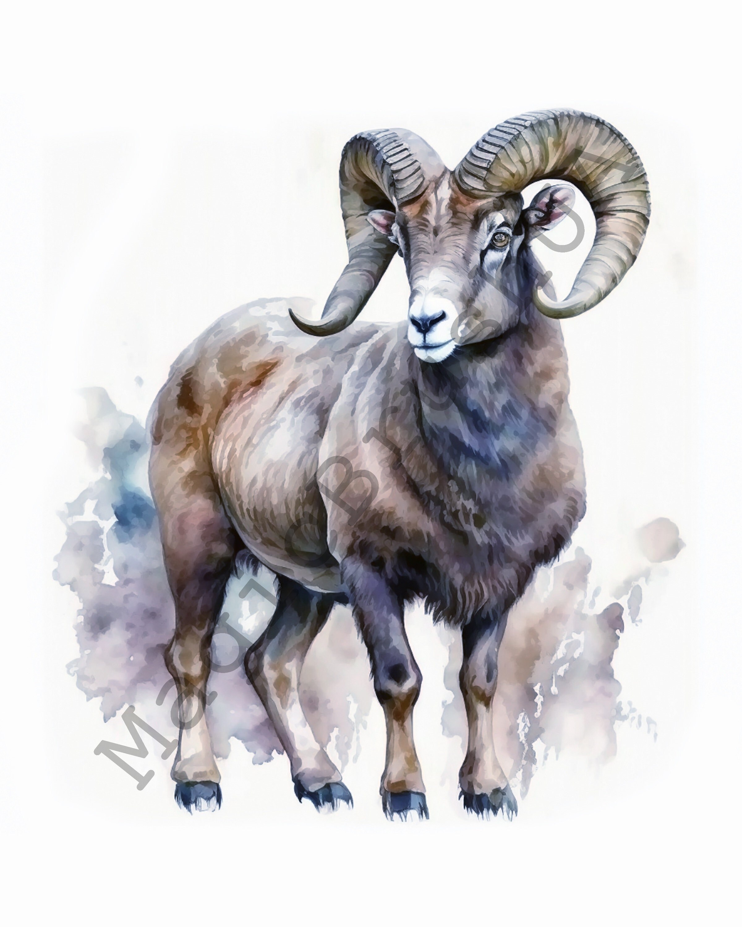 Ram 11 Portraits Set Ram Clipart Commercial Use Digital - Etsy Australia