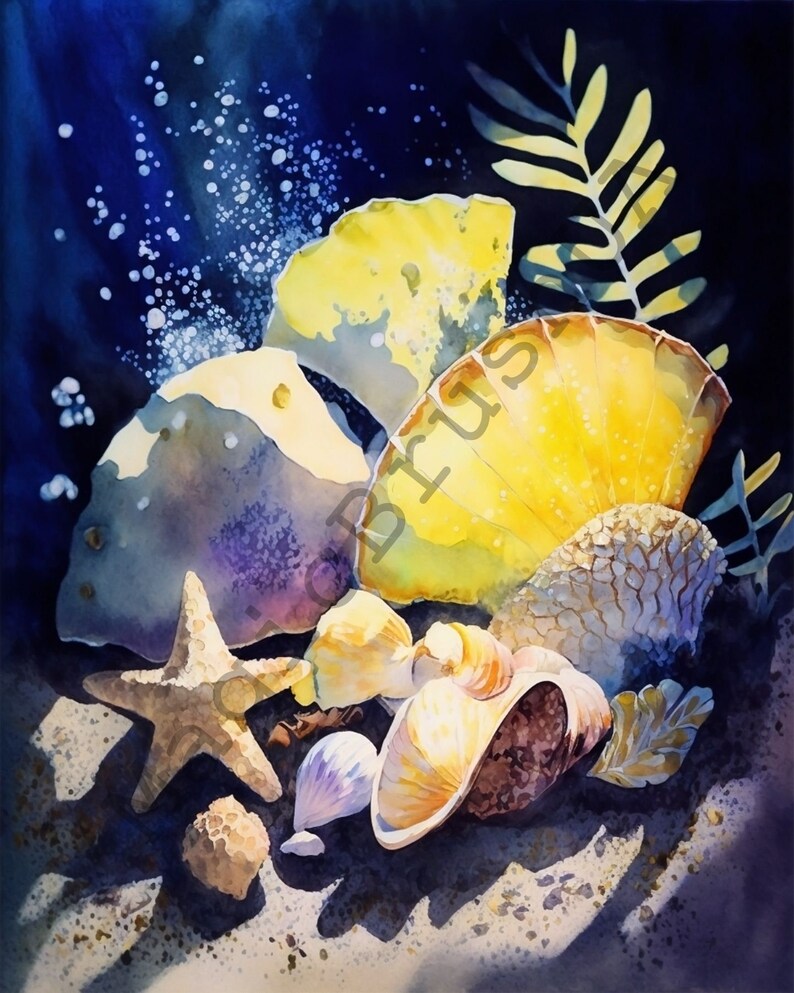 Shells 15 Portraits Set Shells Clipart Commercial Use - Etsy