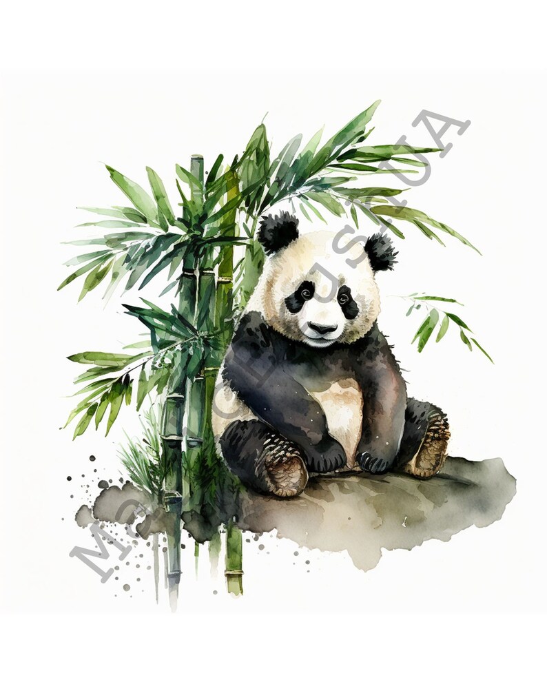 Panda 15 Portraits Set Panda Clipart Commercial Use Panda - Etsy