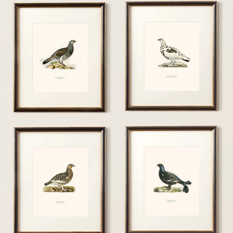 Hunting Prints - Etsy