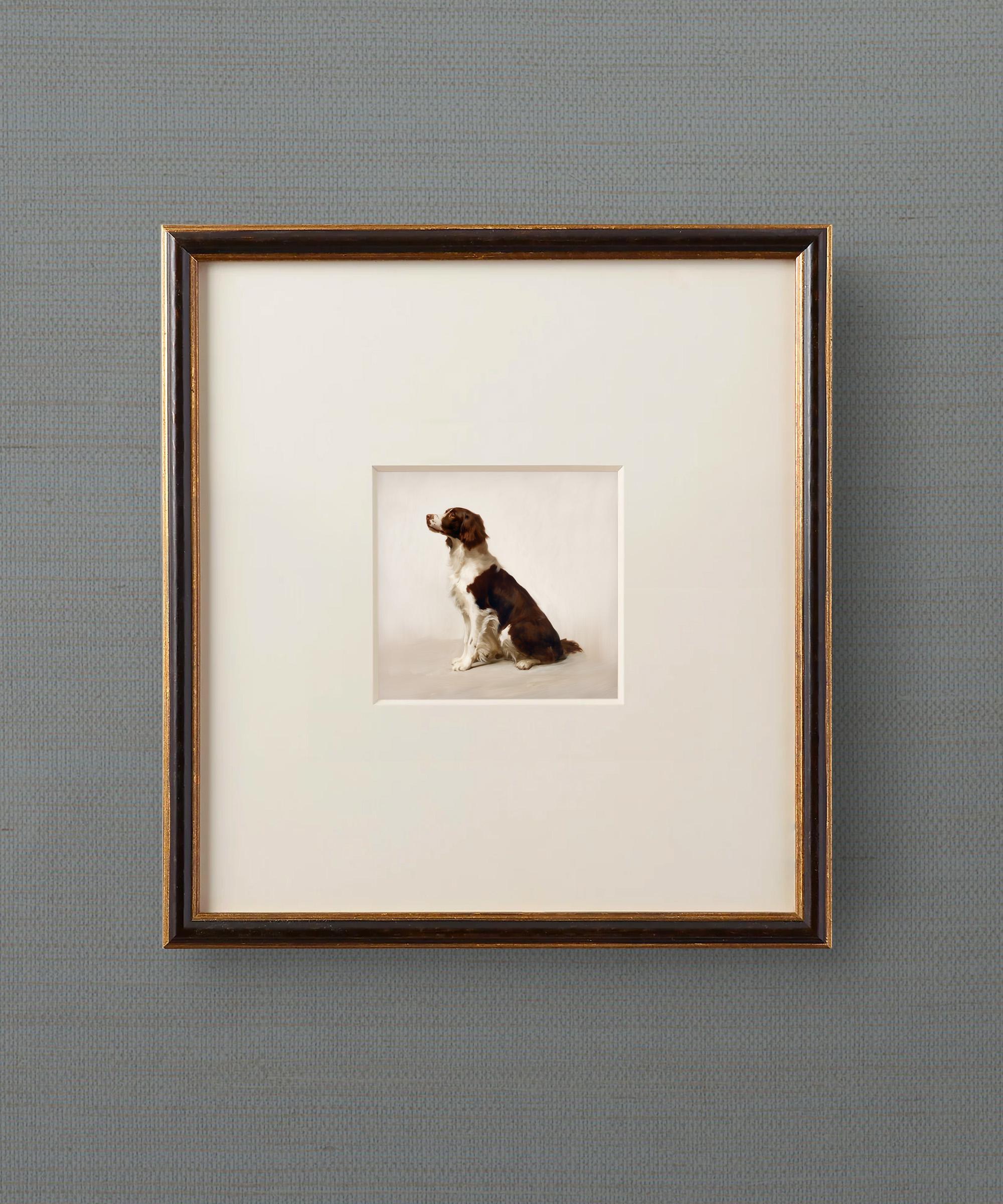 Springer Spaniel Art Print With Vintage Style Round Frame | English ...