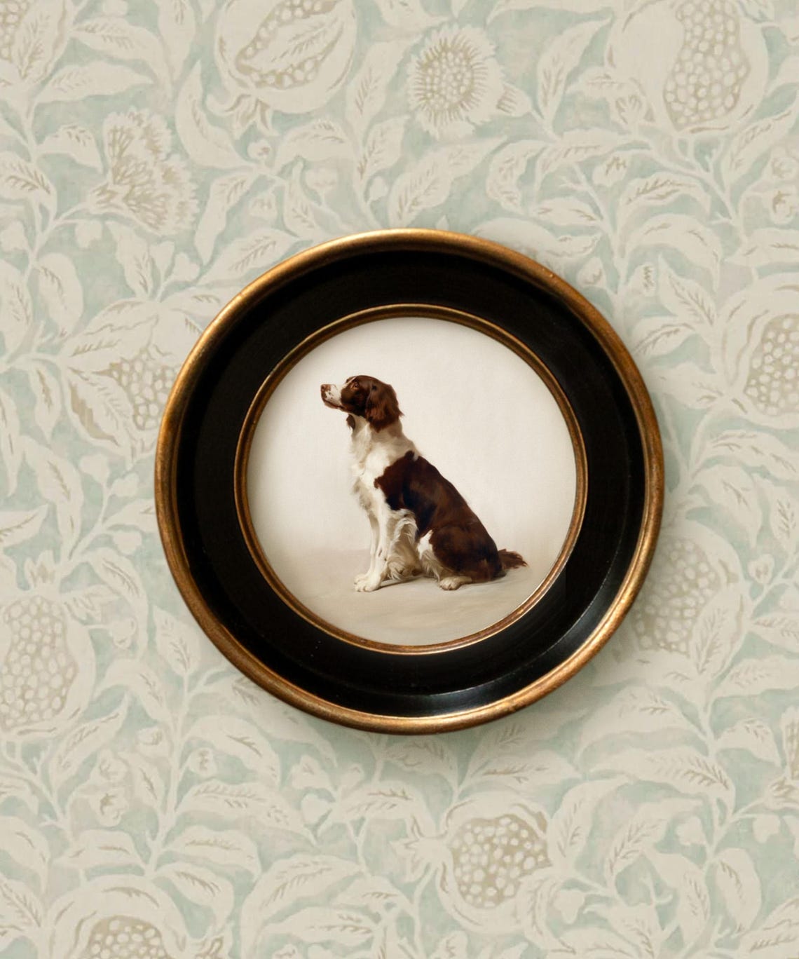 Springer Spaniel Art Print With Vintage Style Round Frame | English ...
