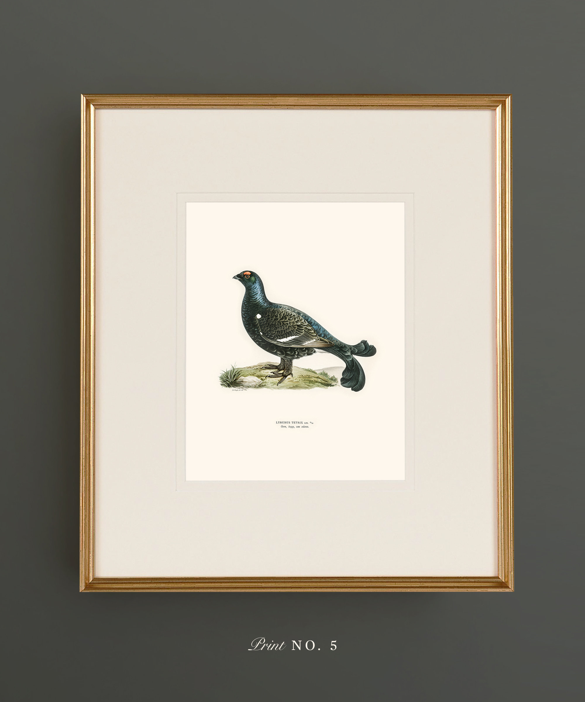Vintage Bird Hunting Gallery Wall Print Set of 6, Game Bird Wall Art ...