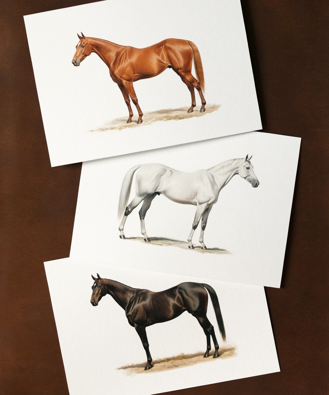 Vintage Horse Lithograph Prints | Equestrian Gallery Wall Set of ...