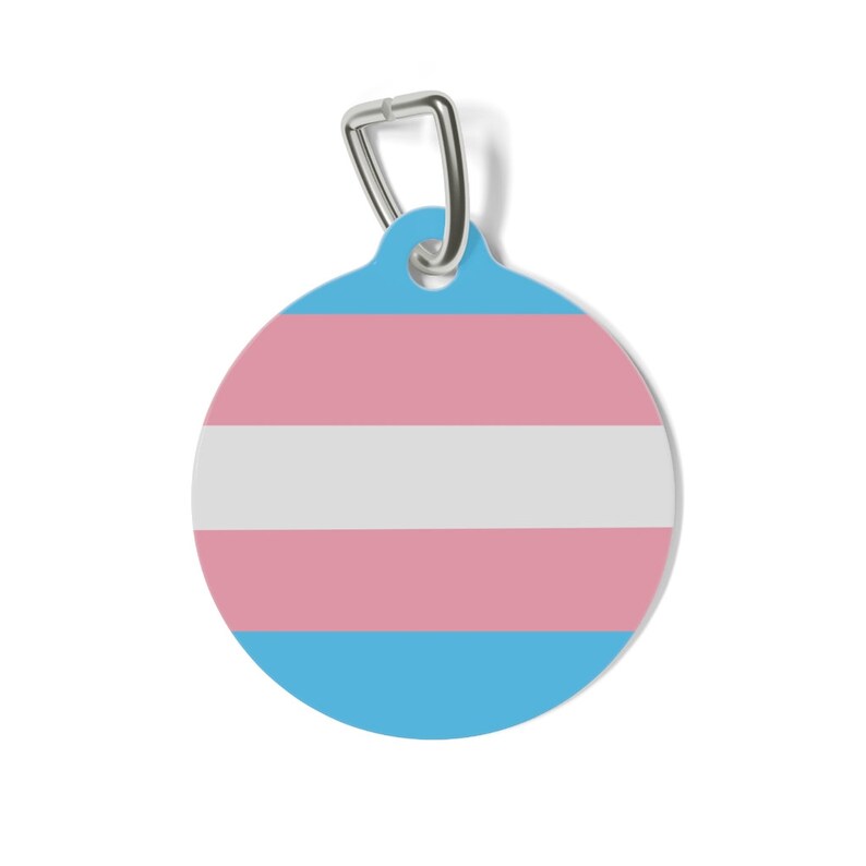 Trans Trans Pride Queer World Queer Art Trans Rights Trans Pin Cat ID ...