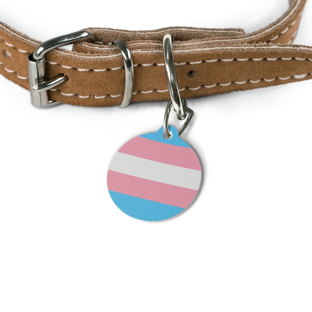 Trans Trans Pride Queer World Queer Art Trans Rights Trans Pin Cat ID ...