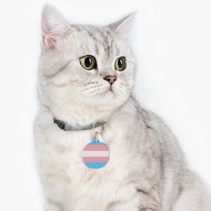 Trans Trans Pride Queer World Queer Art Trans Rights Trans Pin Cat ID ...