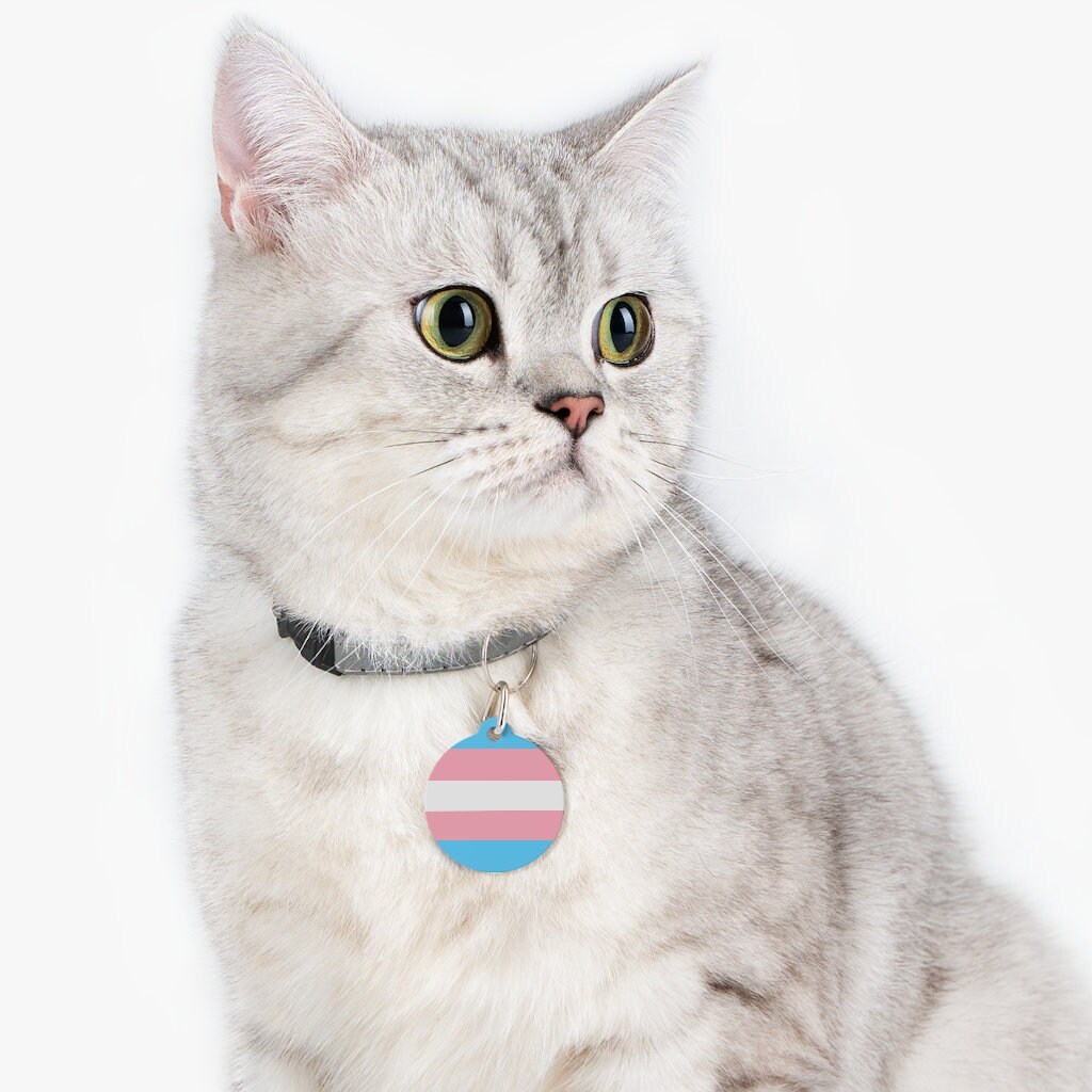 Trans Trans Pride Queer World Queer Art Trans Rights Trans Pin Cat ID ...