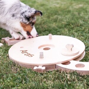 Brain Training Toy for Dog's, Food Treats Game, Personalized ...