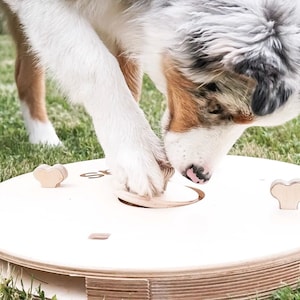 Brain Training Toy for Dog's, Food Treats Game, Personalized ...